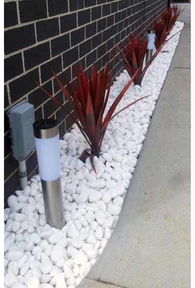 Beyaz Dolomit Taşı 50 kg 4 - 6 cm Bahçe Taşı Dekoratif Taş Dere Taşı Dolomite Doğal Taş Beyaz Süs Taşları Beyaz Dolomit Taşı 50 kg 4 - 6 cm Bahçe Taşı Dekoratif Taş Dere Taşı Dolomite Doğal Taş Beyaz Süs Taşları