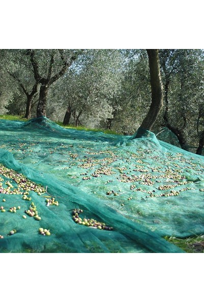 Filexus Zeytin Toplama Filesi 6MX10M