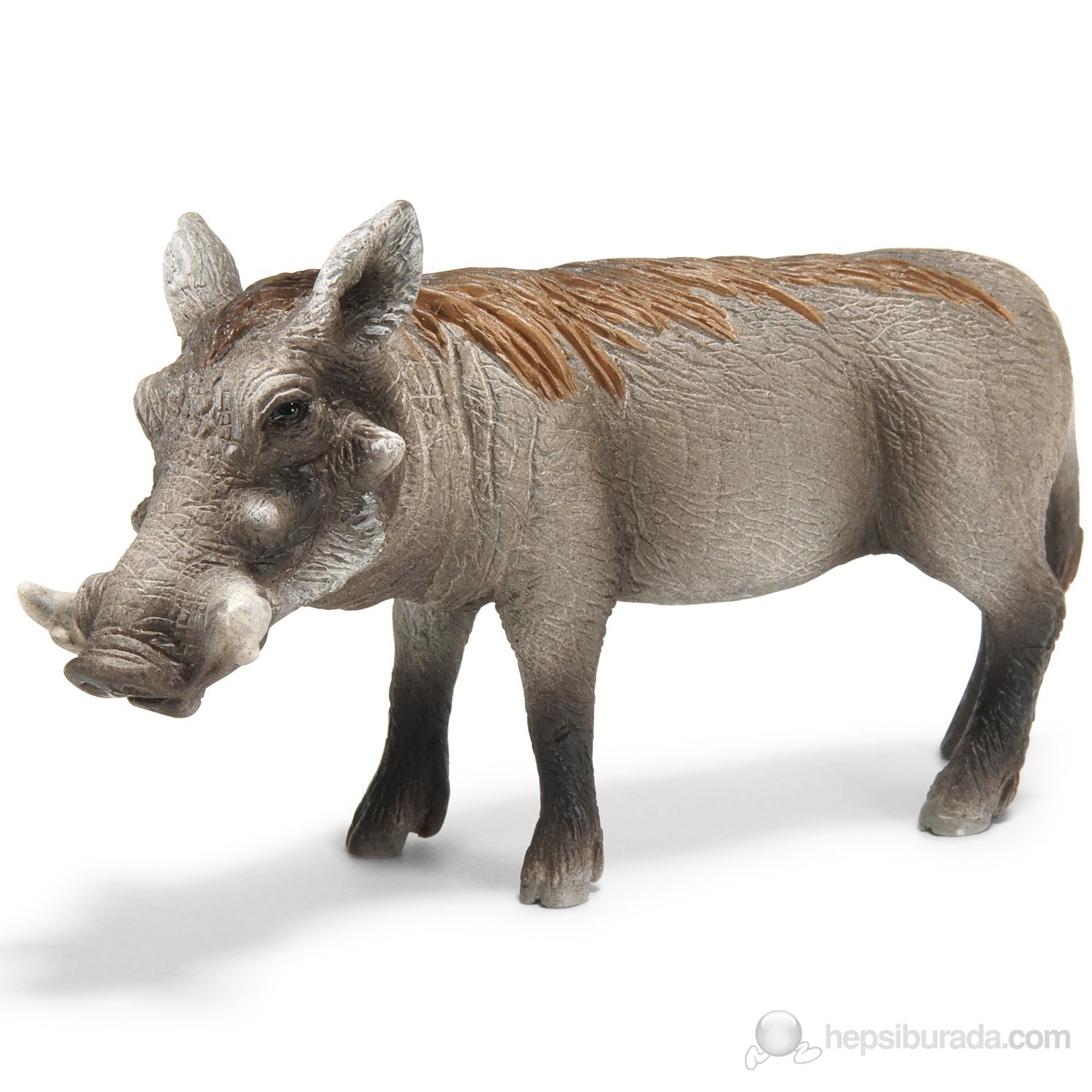 Schleich Yaban Domuzu Dişi Fiyatı - Taksit Seçenekleri