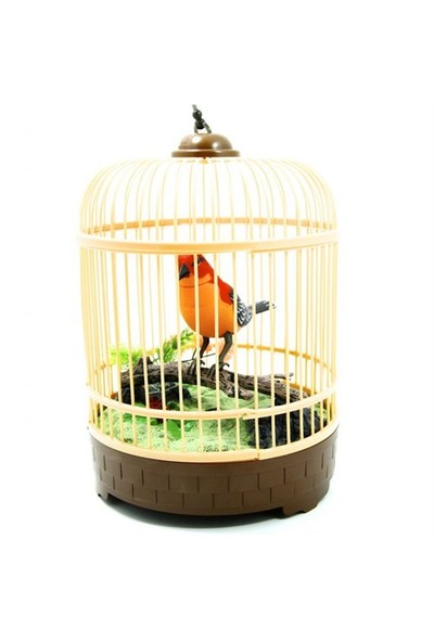 Vardem Kuş Cenneti Kafesli Öten Kuş