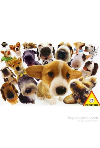 Hanedeka - Köpekler (1000 Parça)