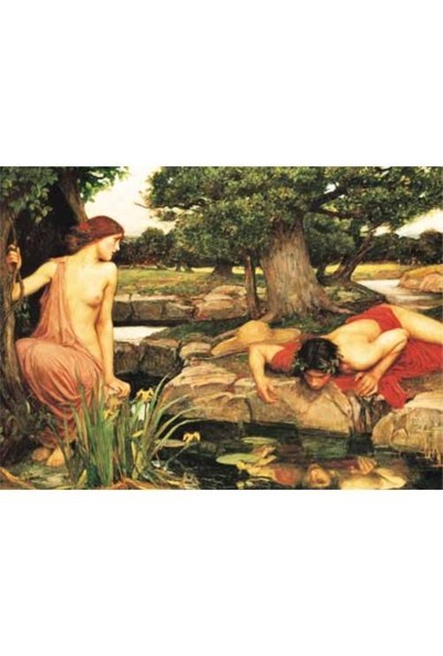 Ricordi Puzzle Echo And Narcissus (1000 Parça) Ricordi Puzzle Echo And Narcissus (1000 Parça)