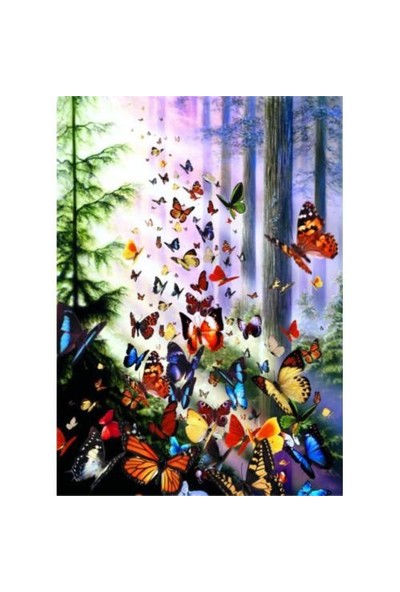 Anatolian Kelebek Ormanı / Butterfly Woods Anatolian Kelebek Ormanı / Butterfly Woods