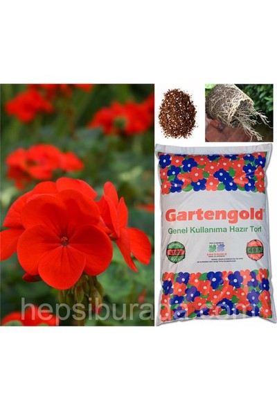 Gartengold Genel Kullanım Organik Torf 40 Litre Gartengold Genel Kullanım Organik Torf 40 Litre