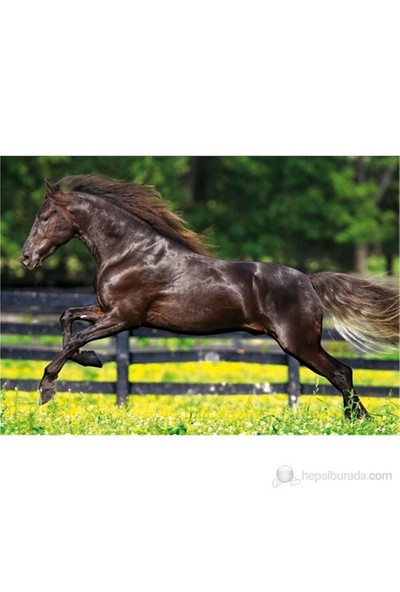 Educa 500 Parça Galloping Educa 500 Parça Galloping