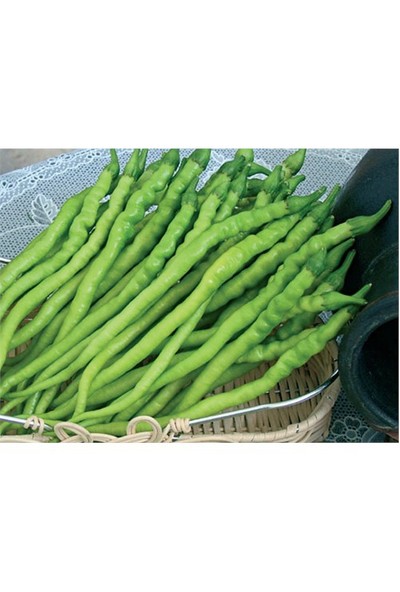 Biber Kıl Sivri Tatlı Tohumu(10 Gr) Biber Kıl Sivri Tatlı Tohumu(10 Gr)