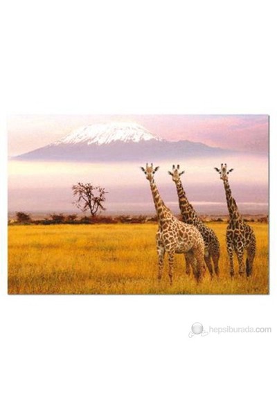 Educa 1000 Parça Amboseli National Park,Kenia