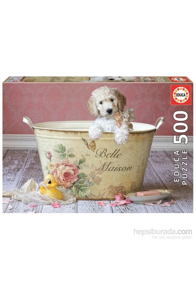 Educa Belle Maıson, Lısa Jane