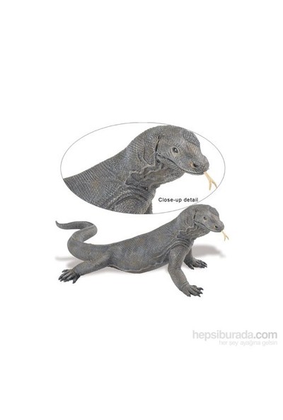 Safari Komodo Ejderi