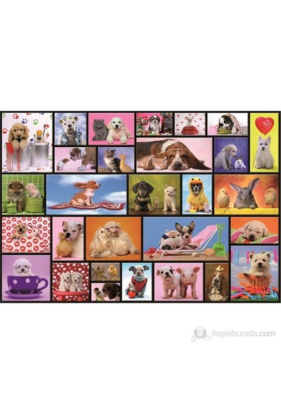Educa 1000 Parça Puzzle Shared Moments Educa 1000 Parça Puzzle Shared Moments