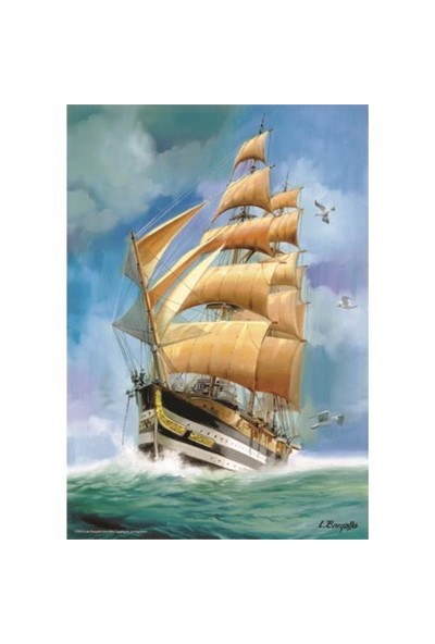 Anatolian Karayip Kralı / Caribbean King Anatolian Karayip Kralı / Caribbean King