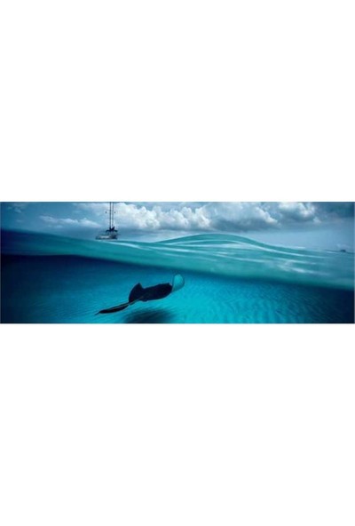 Heye Stingray, Edition Humboldt (1000 Parça, Panorama) Heye Stingray, Edition Humboldt (1000 Parça, Panorama)