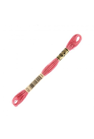 Dmc Muline Special 8 M Nakış İpliği - 3733