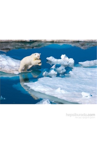 Clementoni N.Geographıc Polar Bear - 1000 Parça Puzzle