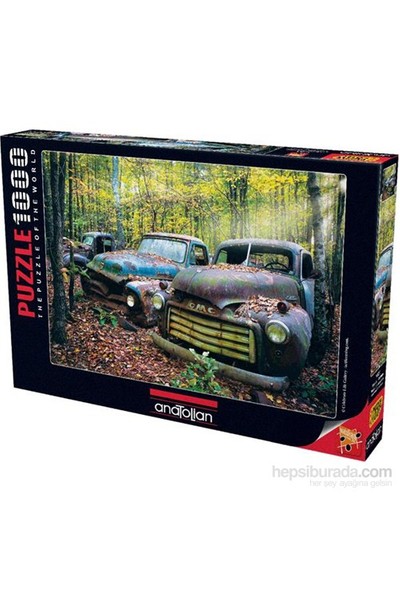 Anatolian Geçmişin Kalıntıları - 1000 Parça Puzzle