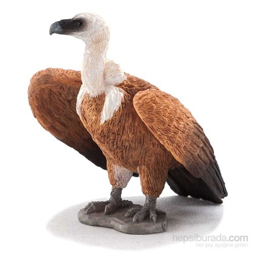 Animal Planet Kızıl Akbaba Model Figür Fiyatı - Taksit Seçenekleri