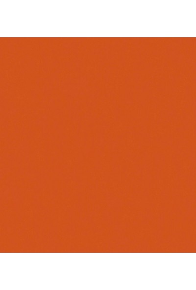 Casadeco Arc En Ciel İthal Duvar Kağıdı