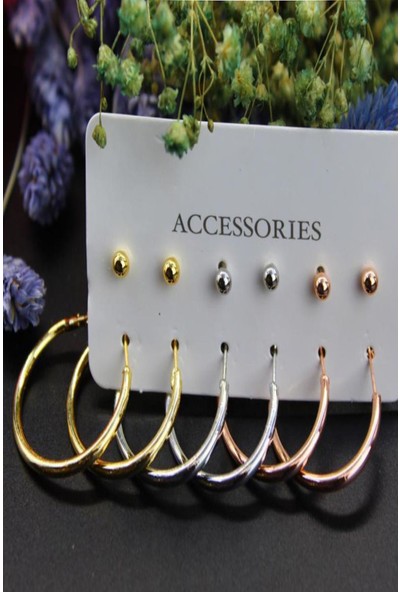 Bahels Kadın 12’lı Gold Rose Gümüş Renk Lüx Model Halka Küpe Seti Bahels Kadın 12’lı Gold Rose Gümüş Renk Lüx Model Halka Küpe Seti