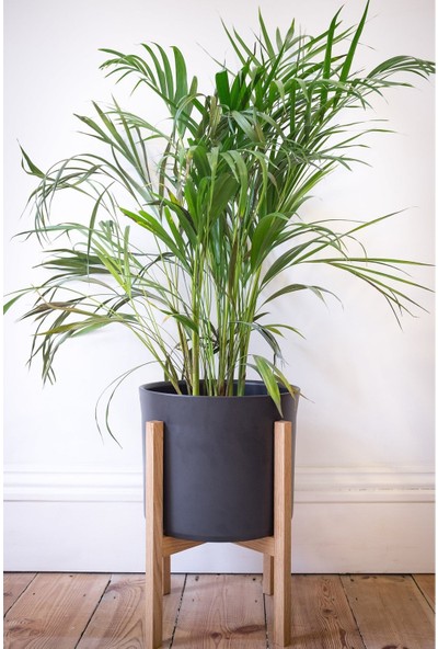 Dembey Ahşap Atölye Saksılık Ahşap Çiçek Standı Ahşap Çiçeklik