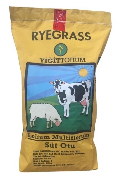 Yiğit Tohum - Süt Otu (Italıan Ryegrass) 10 kg Yiğit Tohum - Süt Otu (Italıan Ryegrass) 10 kg