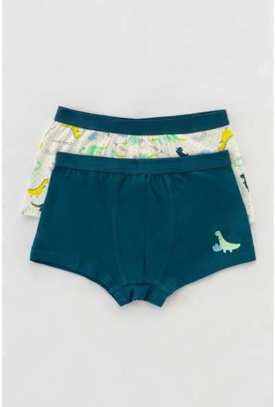 Penti Çok Renkli Erkek Çocuk Dino 2li Boxer