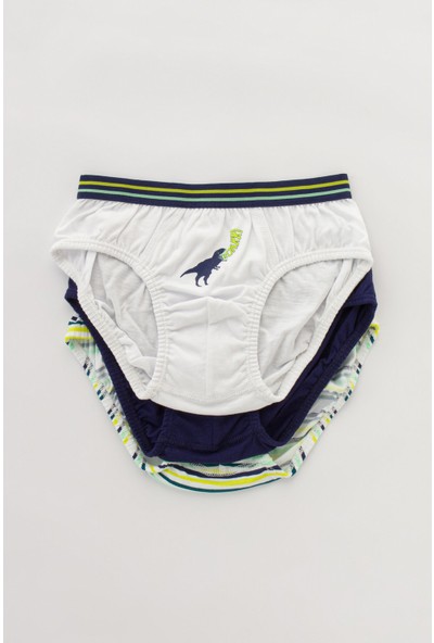 Penti Mavi Erkek Çocuk Roar 3lü Slip Külot Penti Mavi Erkek Çocuk Roar 3lü Slip Külot