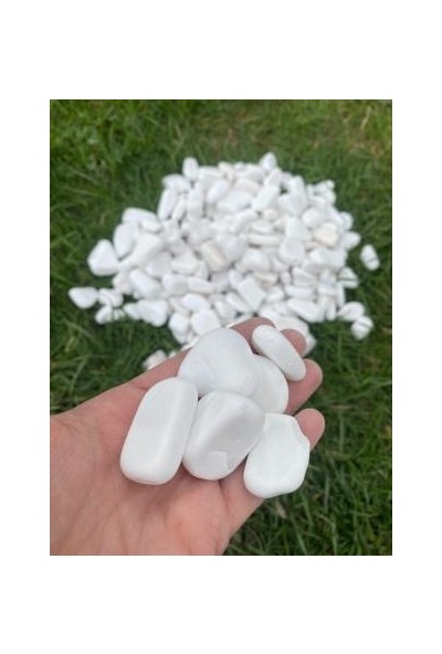 Elysian Beyaz Tamburlanmış Dolomit Taş 25KG 3-6cm Doğal Renkli Peyzaj Taşı Dekoratif Akvaryum Bahçe Süs Taşları Elysian Beyaz Tamburlanmış Dolomit Taş 25KG 3-6cm Doğal Renkli Peyzaj Taşı Dekoratif Akvaryum Bahçe Süs Taşları