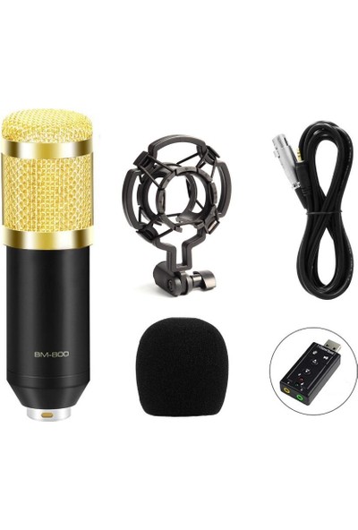 Wellsound BM-800+USB Ses Kartı Profesyonel Mikrofon Seti