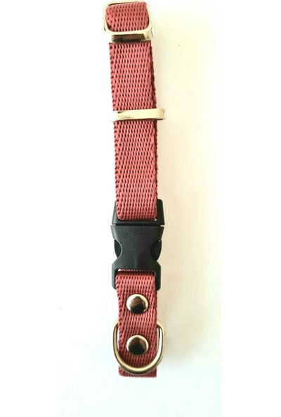 Burdabuldu Küçük Irk Köpek Boyun Tasması Sarı Small 11 mm 20-31 cm - Bordo