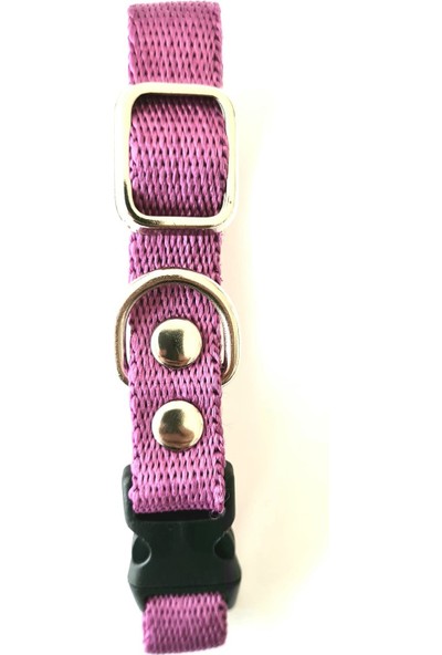 Burdabuldu Küçük Irk Köpek Boyun Tasması Mor Small 11 mm 20-31 cm - Sarı