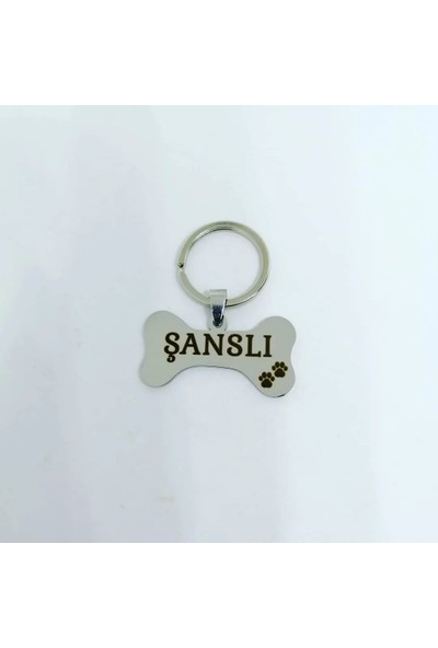 33 Stores Pleksi Kaybolursam Ara Kedi /köpek Künyesi