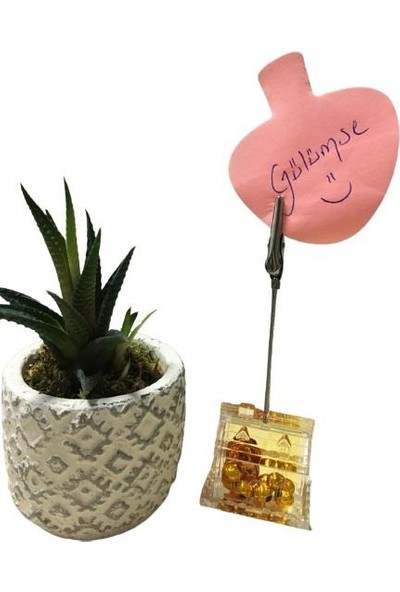 Sinerji Not Tutucu Ev Sıvılı KT-297