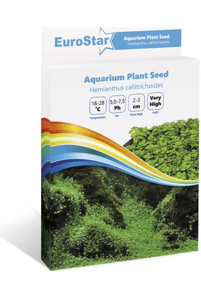 Eurostar Bitki Tohumu Hemianthus Callitrichoides Eurostar Bitki Tohumu Hemianthus Callitrichoides