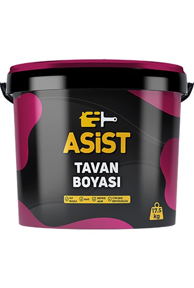 Asist Tavan Boyası Asist Tavan Boyası
