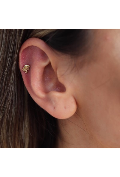 Değerli Kuyumculuk Fil Tragus Küpe Değerli Kuyumculuk Fil Tragus Küpe