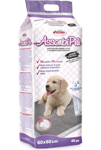 Record Çiş Pedi Karbonlu 60CMX60CM 40 Lı Paket Record Çiş Pedi Karbonlu 60CMX60CM 40 Lı Paket