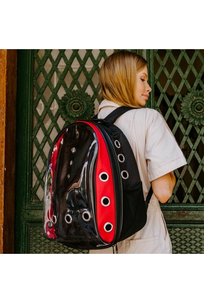 Evene Kedi Taşıma Çantası Kırılmaz Astronot Orta Boy Uçak Için Uygun Hava Alan Sırt Çantası