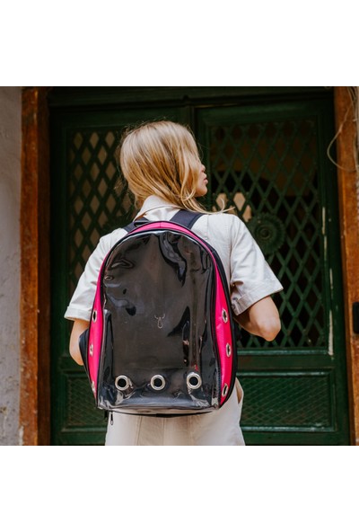 Evene Kedi Taşıma Çantası Kırılmaz Astronot Orta Boy Uçak Için Uygun Hava Alan Sırt Çantası