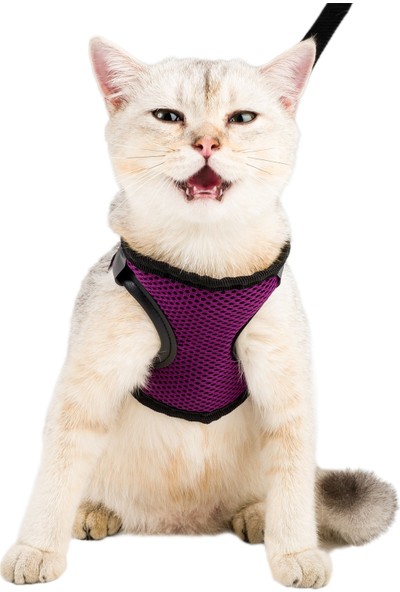 Evene Kedi Tasması Göğüs Boyun Tasma Seti Sevk Kayışlı Terletmeyen Nefes Alan Kumaş Reflektör S Evene Kedi Tasması Göğüs Boyun Tasma Seti Sevk Kayışlı Terletmeyen Nefes Alan Kumaş Reflektör S