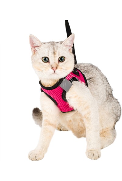 Evene Kedi Tasması Göğüs Boyun Tasma Seti Sevk Kayışlı Terletmeyen Nefes Alan Kumaş Reflektör S Evene Kedi Tasması Göğüs Boyun Tasma Seti Sevk Kayışlı Terletmeyen Nefes Alan Kumaş Reflektör S