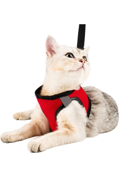 Evene Kedi Tasması Göğüs Boyun Tasma Seti Sevk Kayışlı Terletmeyen Nefes Alan Kumaş Reflektör S Evene Kedi Tasması Göğüs Boyun Tasma Seti Sevk Kayışlı Terletmeyen Nefes Alan Kumaş Reflektör S