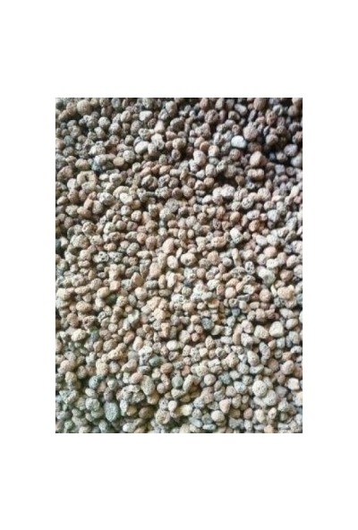 Canlı Petshop Lav Kırığı 5 kg 1-2 cm Iriliğinde