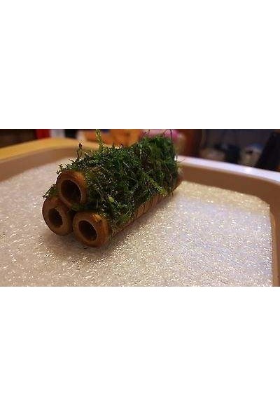 Canlı Petshop Y-Moss 3 Lü Kamışa Tutturulmuş ( Karides Yuvası ve Üretim Kamışı) Canlı Petshop Y-Moss 3 Lü Kamışa Tutturulmuş ( Karides Yuvası ve Üretim Kamışı)