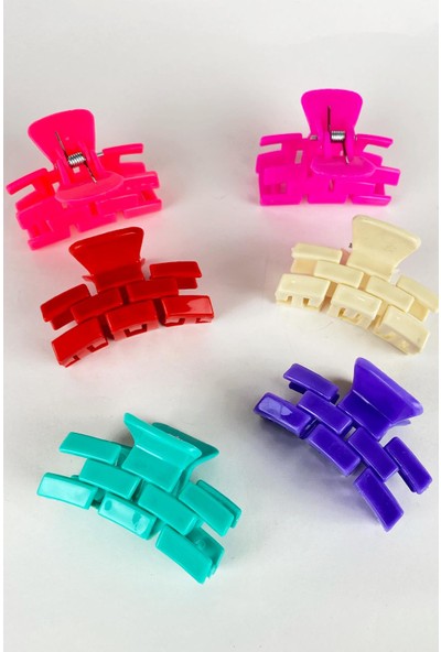 Bahels Kadın Renkli 6 cm Büyük Boy 6'lı Mandal Toka Seti