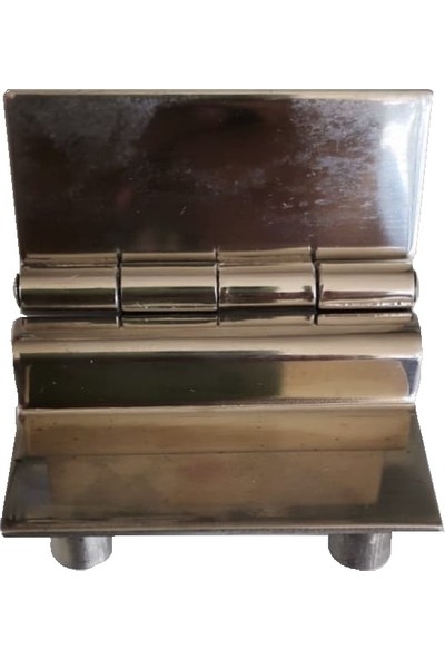 DM Dirsek Menteşesi Vidalı Paslanmaz 55X51MM