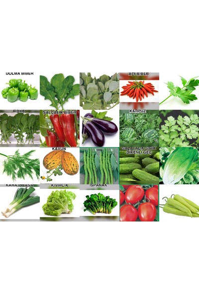 Yerli 20 Çeşit Tohum Seti-1 Ort 1700 Ad Tohum Yerli 20 Çeşit Tohum Seti-1 Ort 1700 Ad Tohum