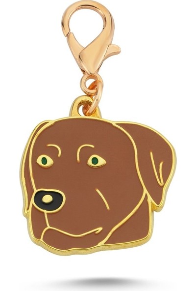 Altın Pati Kahverengi Labrador Mineli Tasma Aksesuarı Altın Pati Kahverengi Labrador Mineli Tasma Aksesuarı