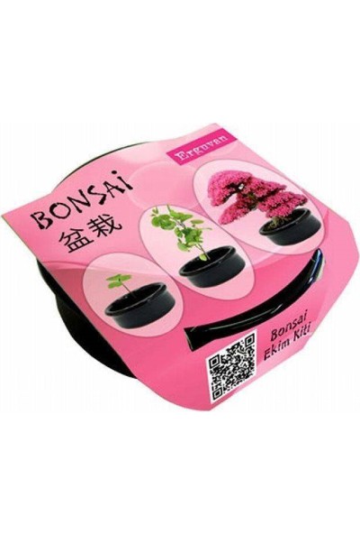 Asrın Bonsai Erguvan Ekim Kiti