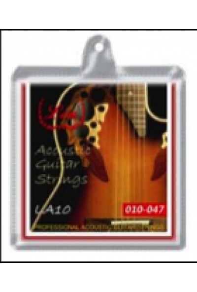 Lea La-10 Akustik Gitar Teli