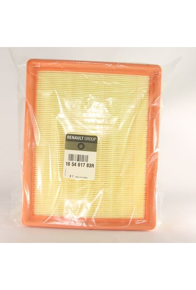 OEM Nissan NV300 2.0 Dci Hava Fıltresı 165461783R OEM Nissan NV300 2.0 Dci Hava Fıltresı 165461783R